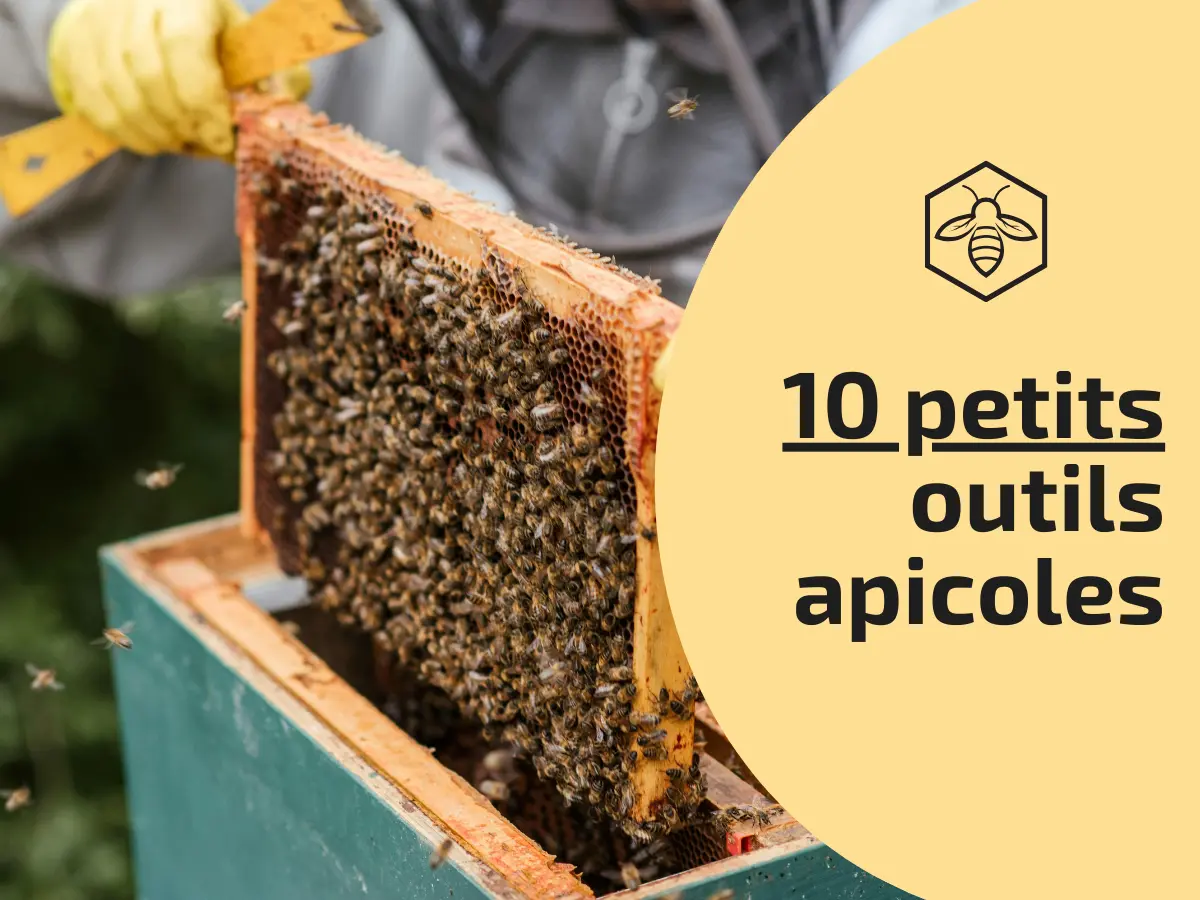 Liste de petit matériel d’apiculture pour achat rapide - La Plateforme ...
